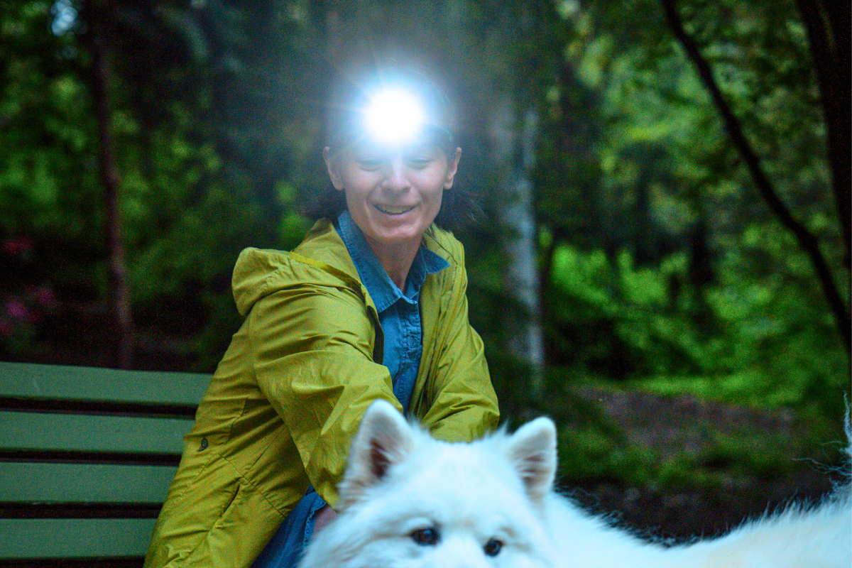 How to Choose the Right Torch for Dog Walking: Features That Matter Mo ...