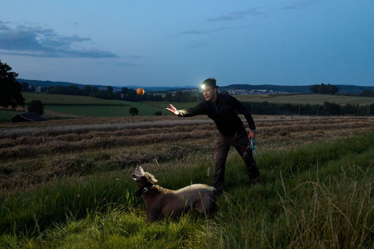 Hands-Free Lighting: The Top Benefits of Using a Head Torch Outdoors ...