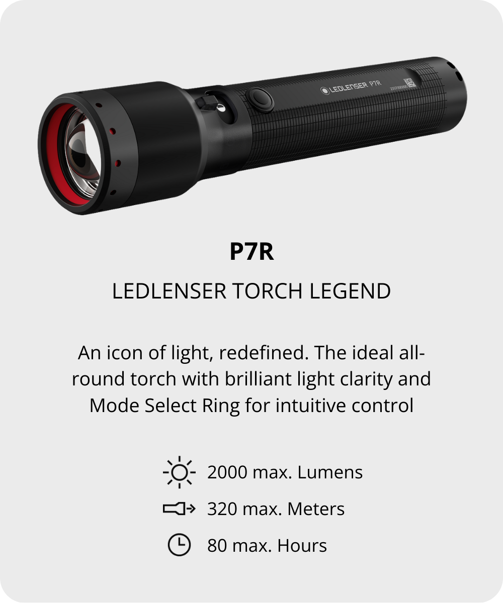 2025 P-Series Torches